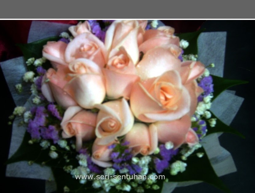 PAKEJ PELAMIN, MINI PELAMIN, BUAIAN BERENDOI, GUBAHAN HANTARAN: SS ...