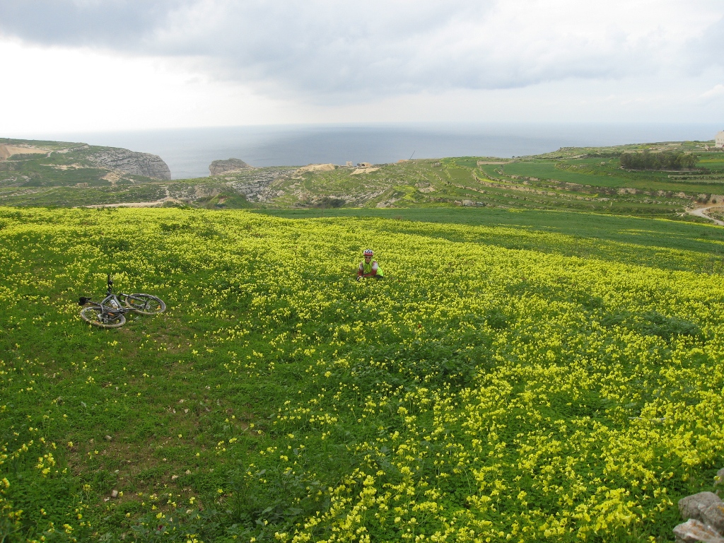 Malta: 31.janvāris. Gozo sala