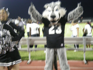 Chaparral Cheerleading: LOBOS Victorious at First Home Game!