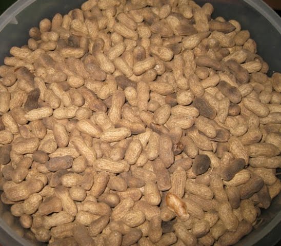 Genta Snack Batam: Snack Kacang