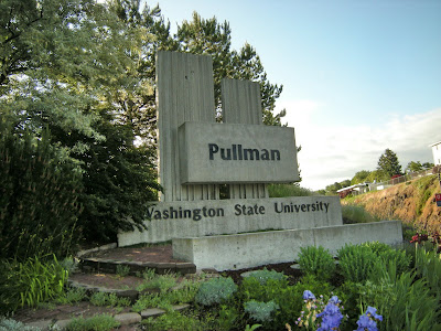 PULLMAN :: Cup of the Palouse: Getting something better than concrete ...