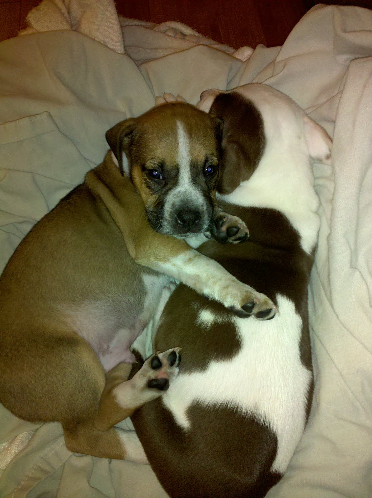 All Things Cute Not So Cute all-things-cute-not-so-cute