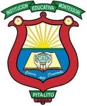 RENÉ CARBONELL- SPANISH, ENGLISH AND FRENCH TEACHER