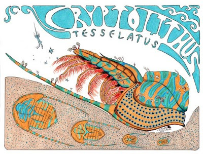 ART Evolved: Life's Time Capsule: The Trilobite Gallery