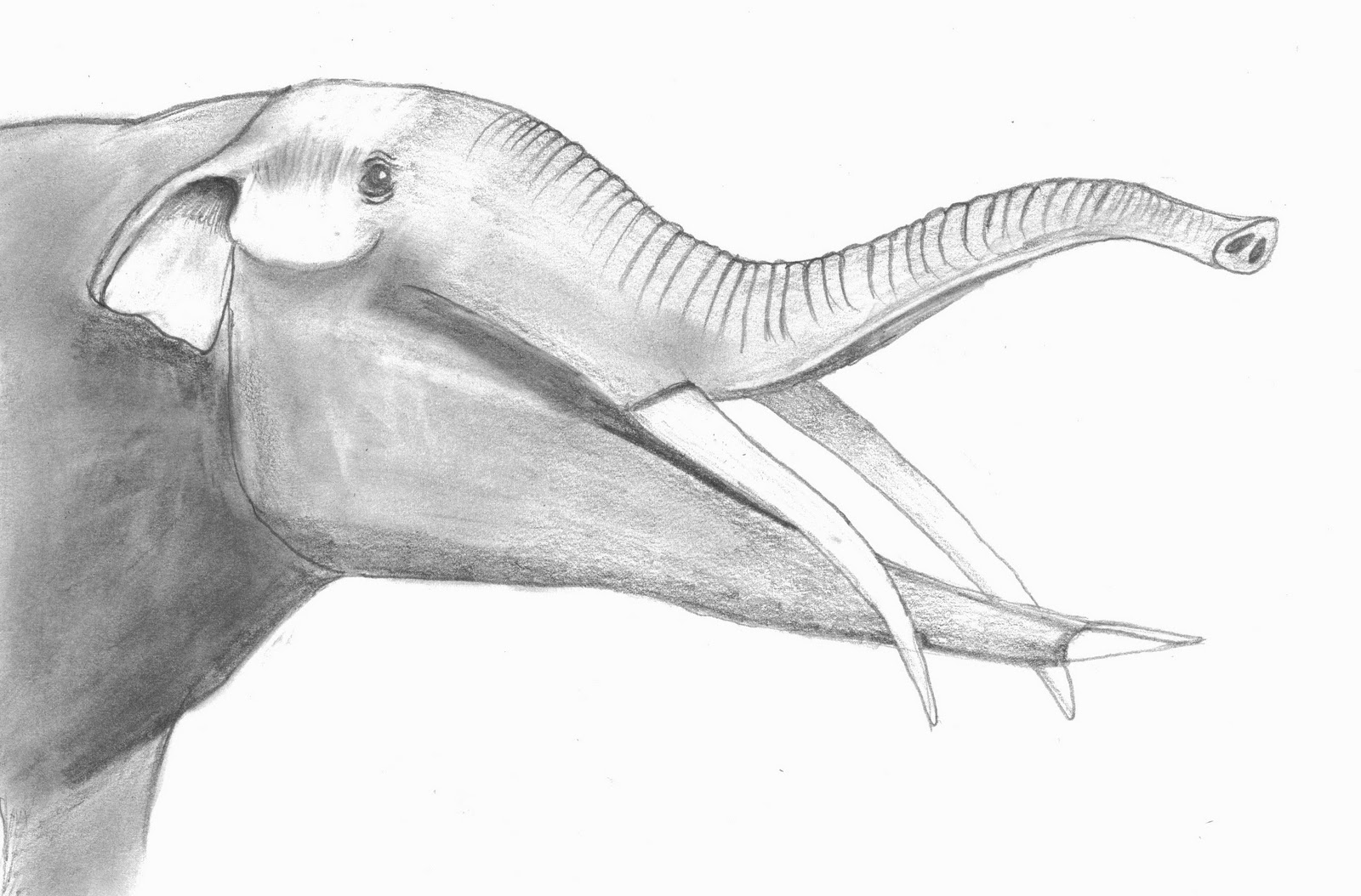 ART Evolved: Life's Time Capsule: January 2011