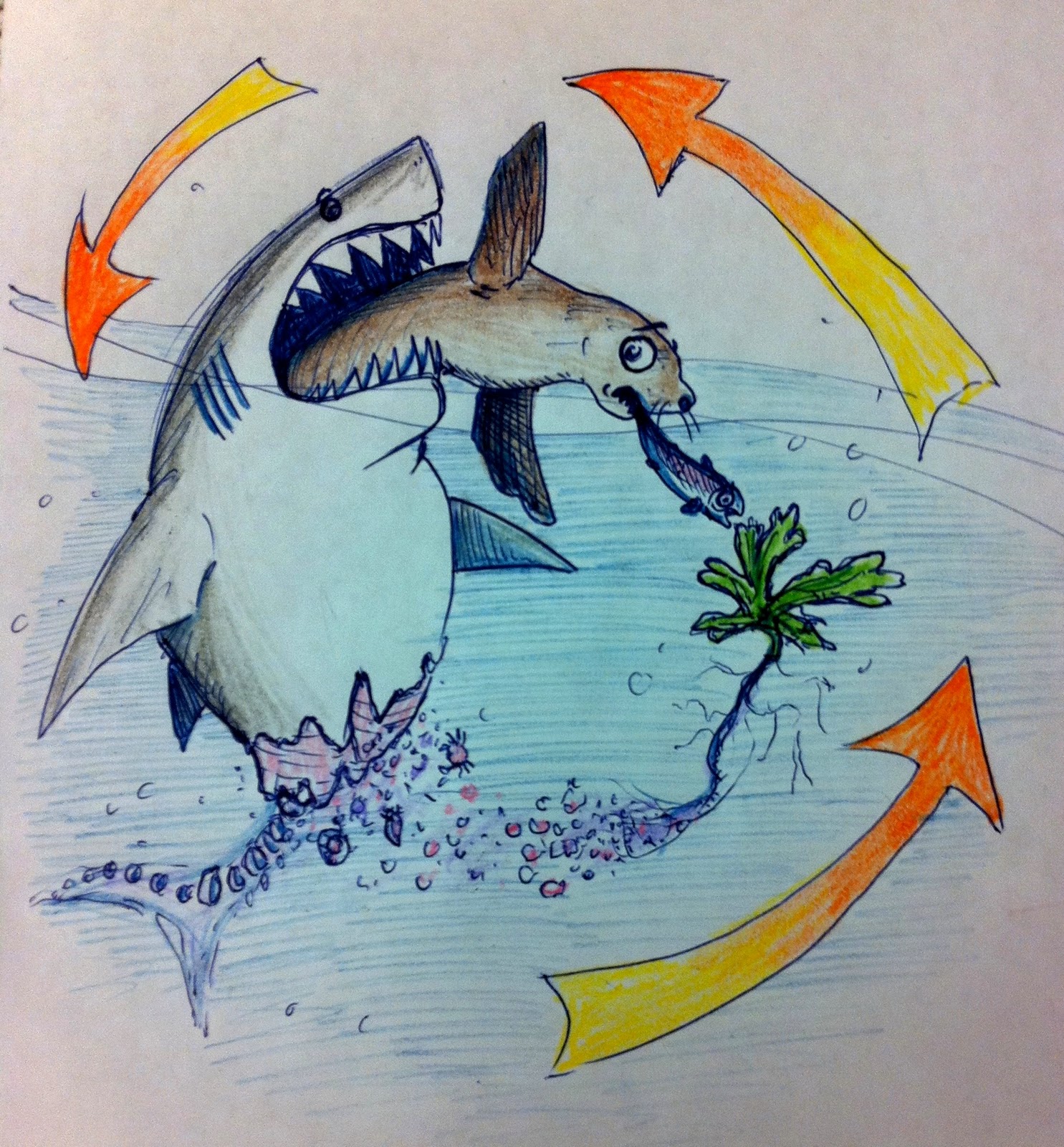 ART Evolved: Life's Time Capsule: Shark Seal Speedpaint