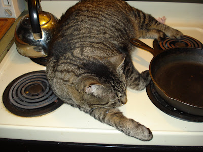 Gary Rith Pottery Blog: fried cat