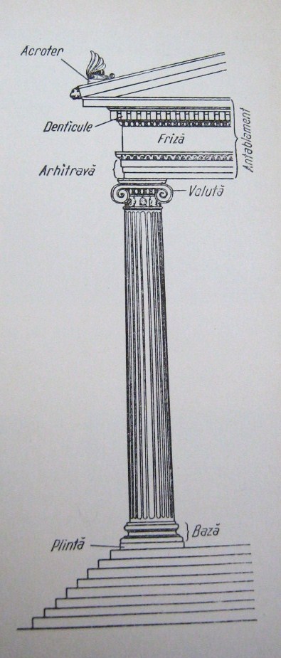 Istoria Artei: Templul grec. Ordinele doric, ionic, corintic