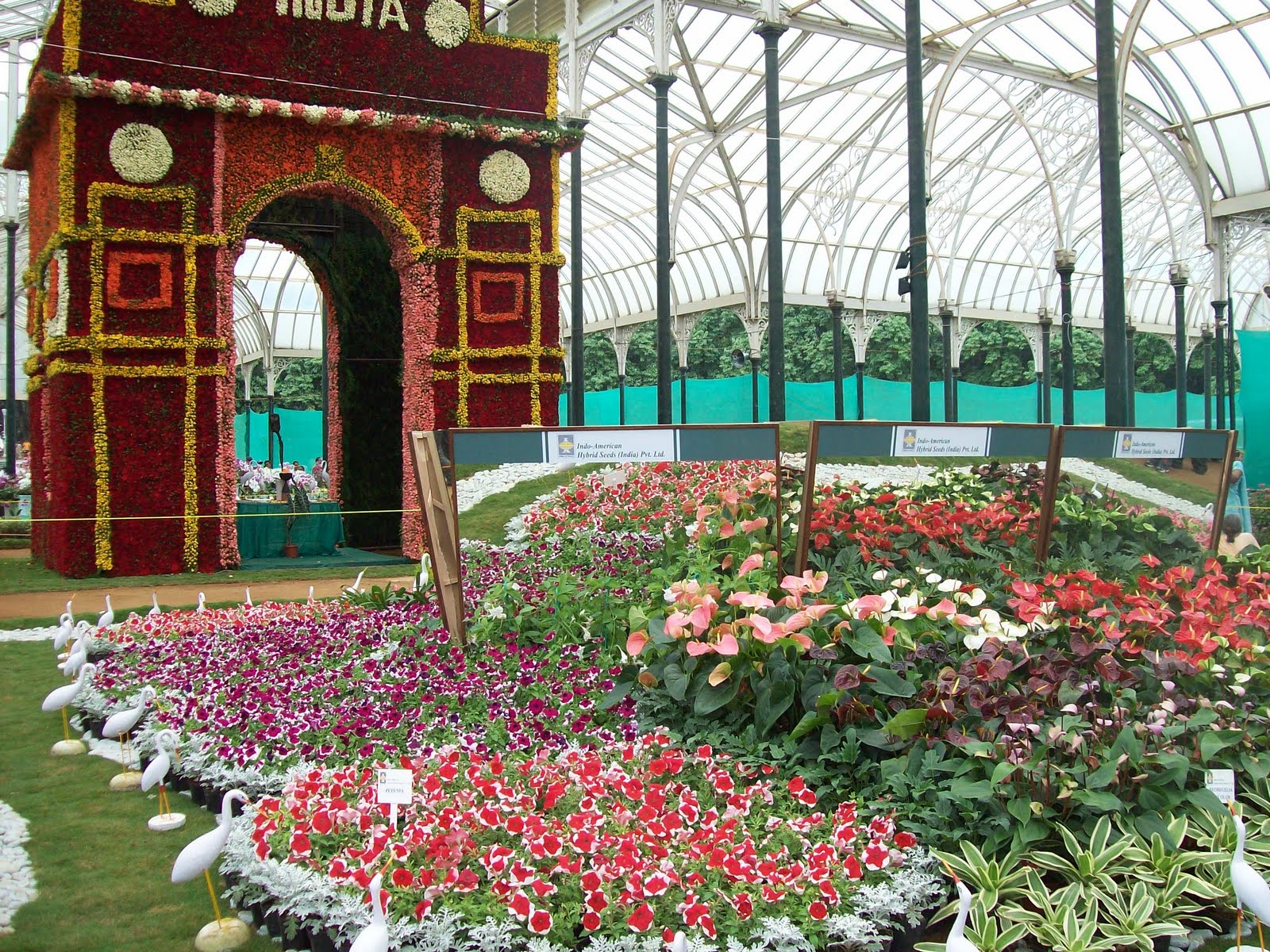 gardentropics: Flower Show