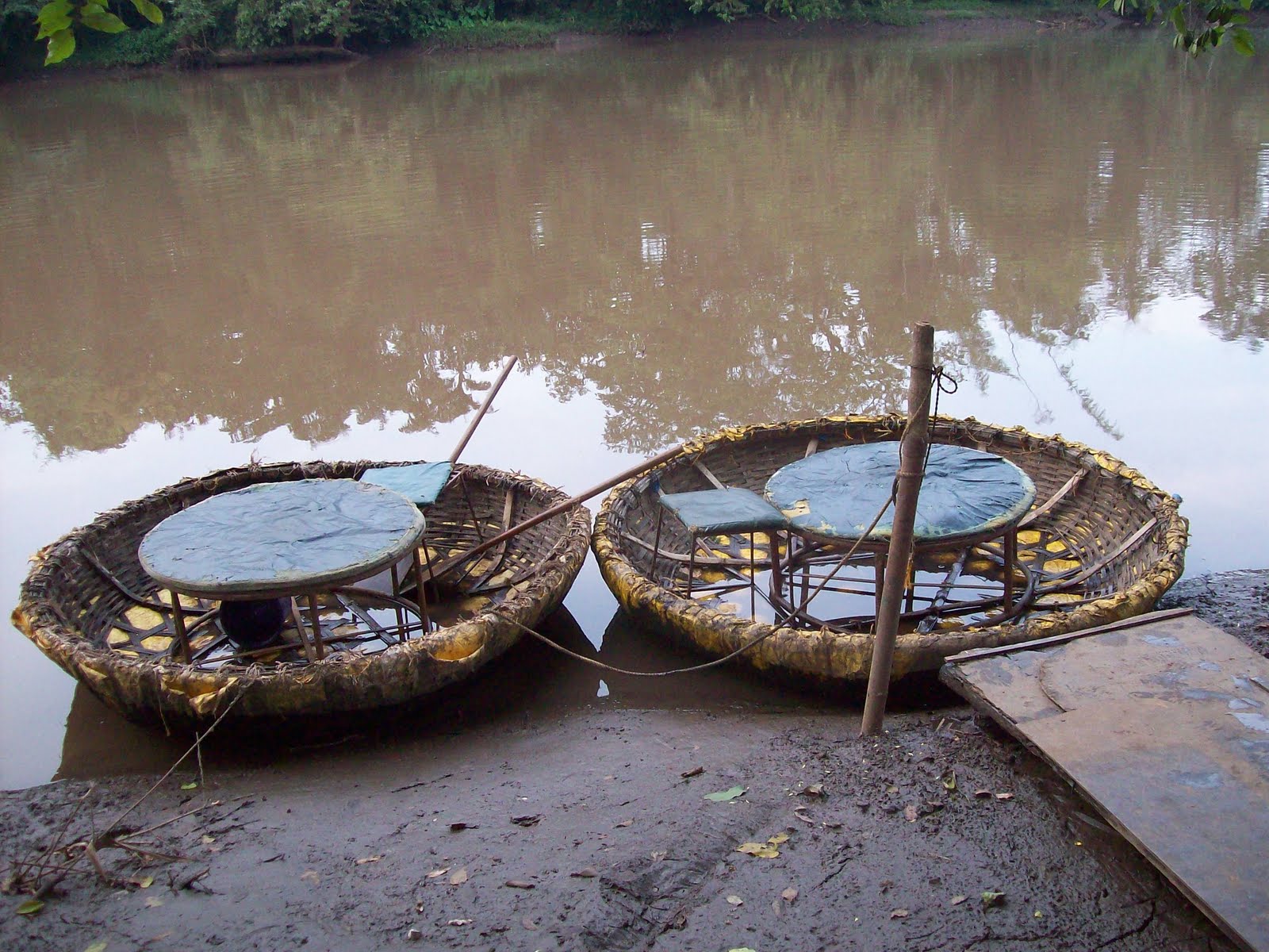 gardentropics: Weekend Reflections- Transport