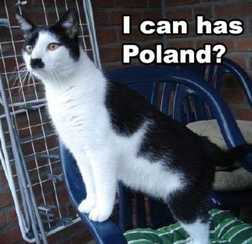 Hitler Cat - Funpicc