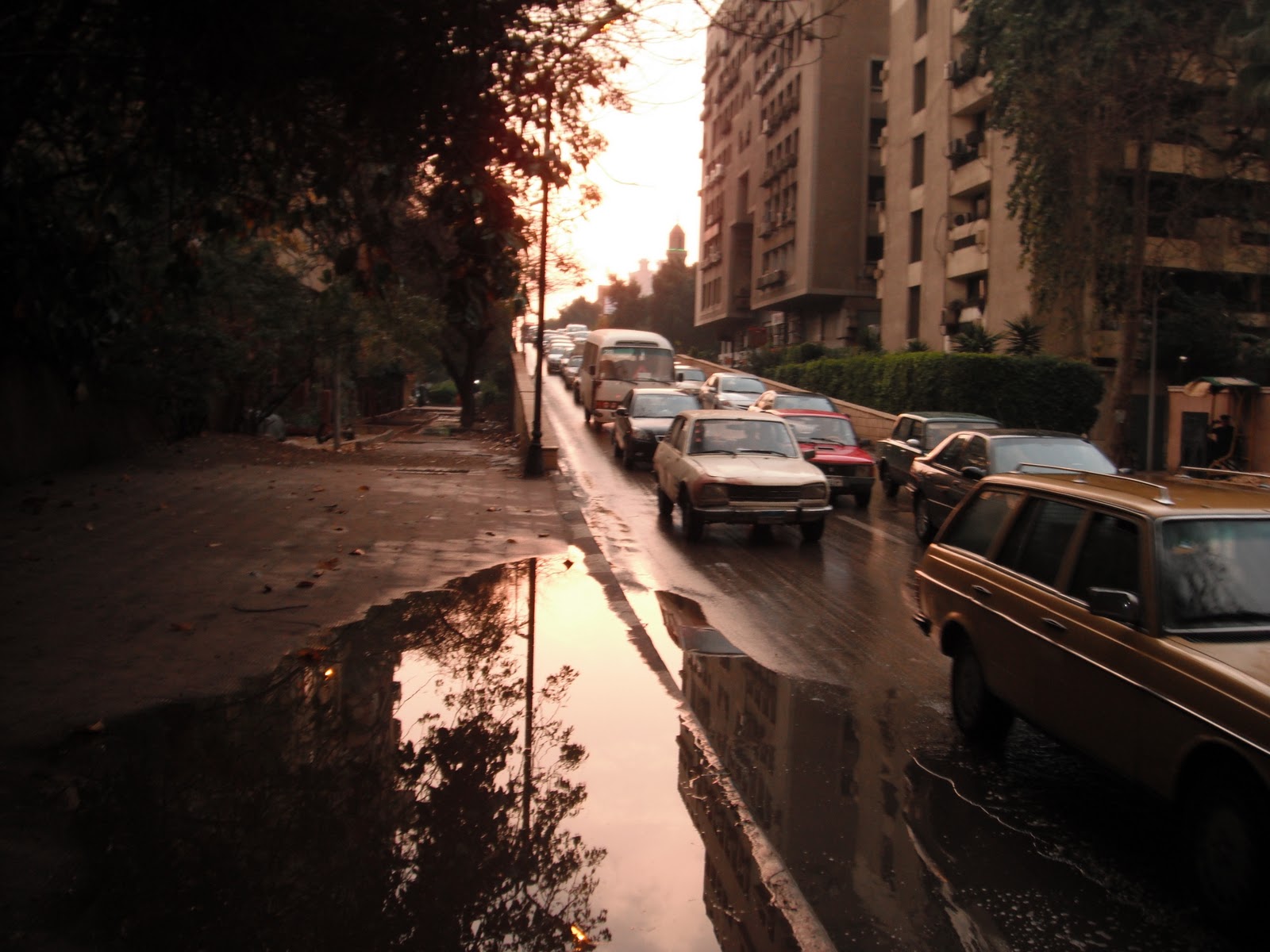 Carol, Jeff, and Cameron in Cairo: Rain, hail and flooding in Cairo