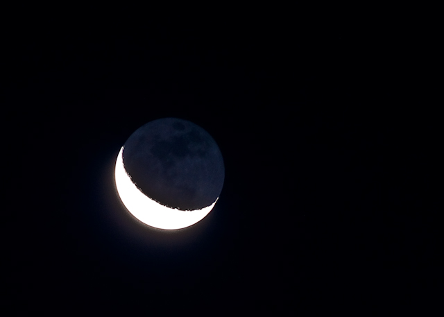 phototaxis: sliver moon
