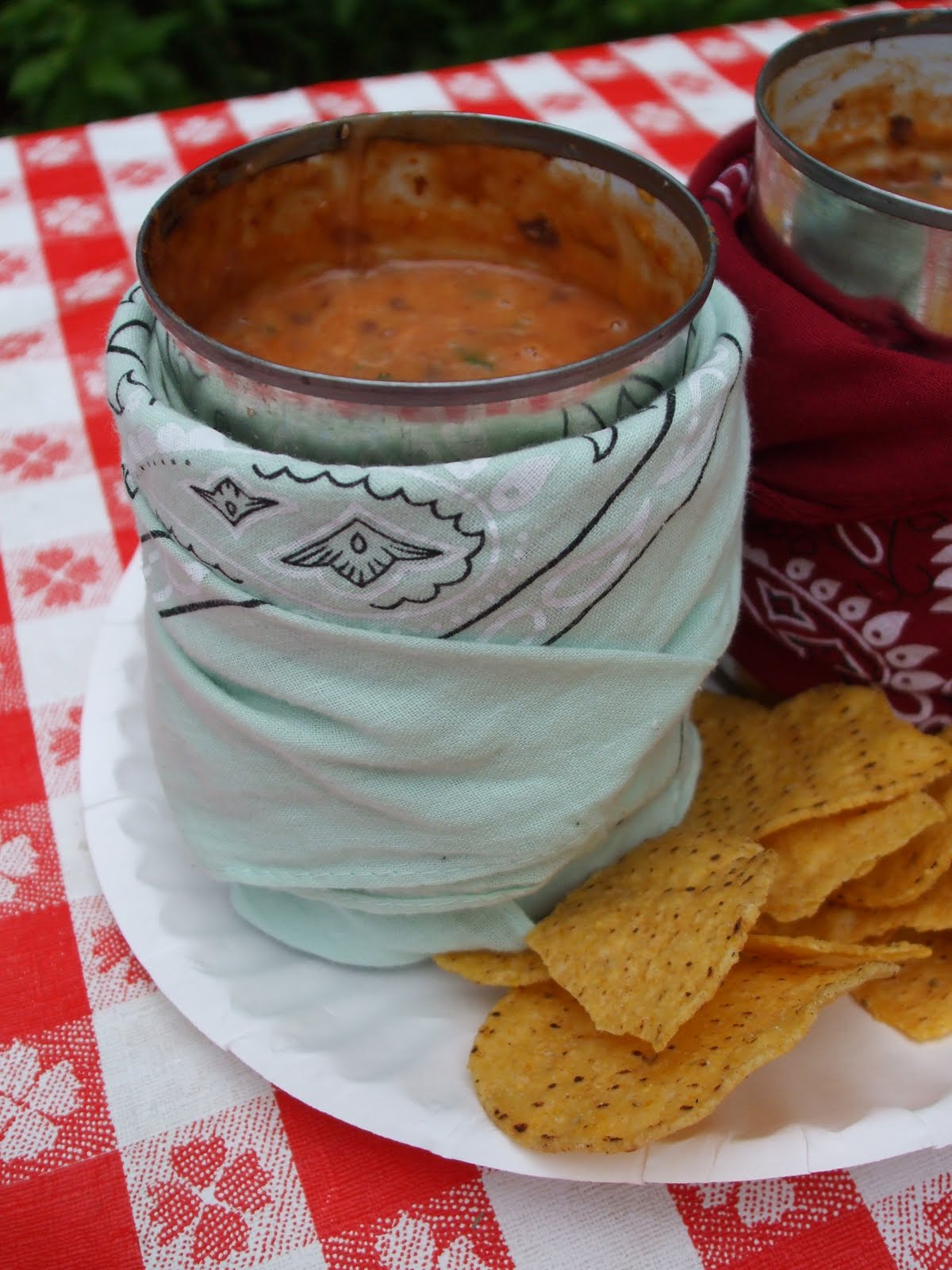 MyCreativeStirrings: Camping Chip Dip in a Can