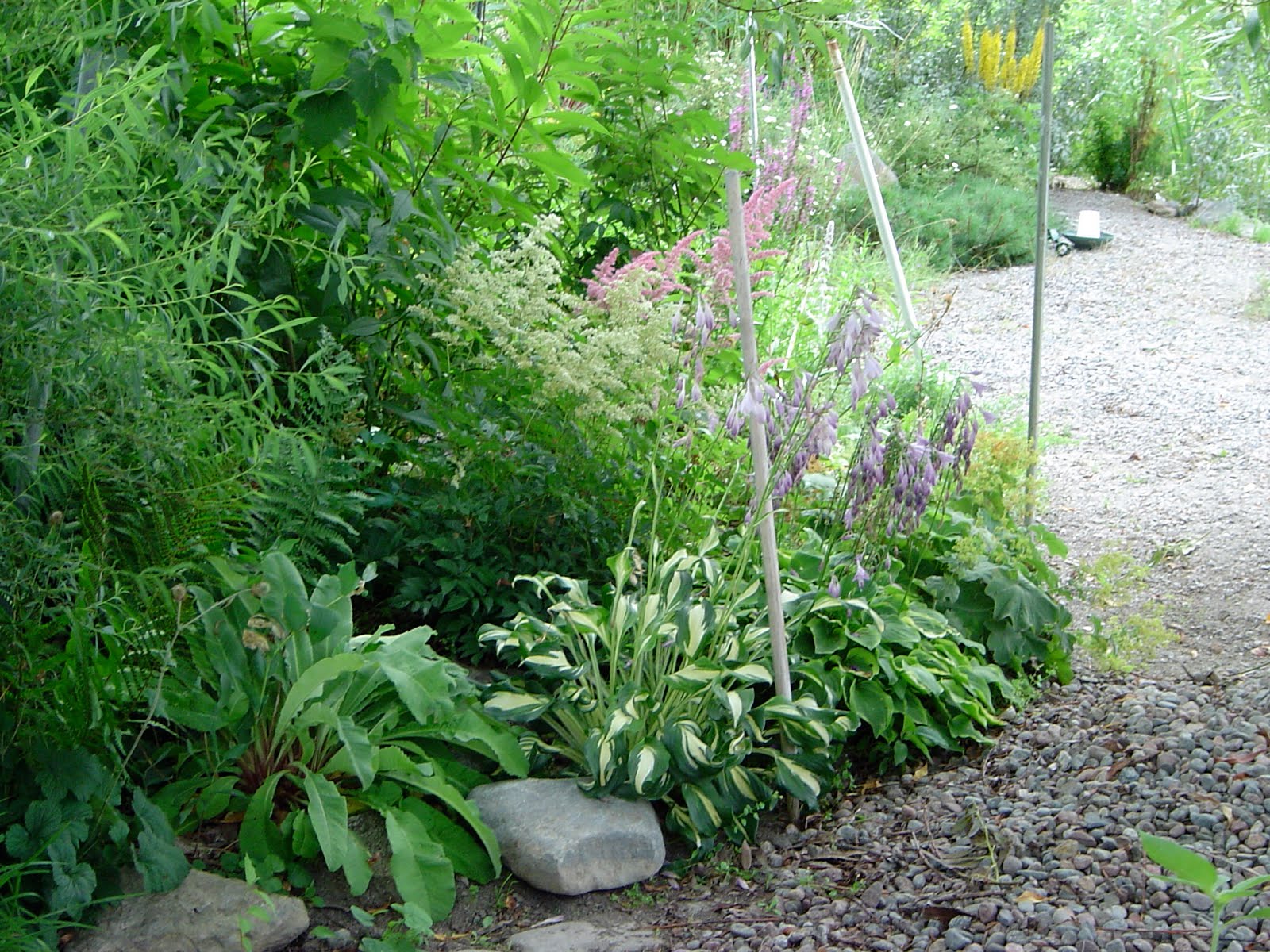 Mycket annat & lite betong: Plantering