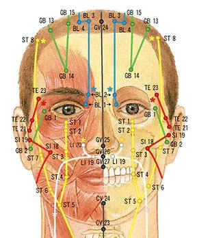 Facial Acupuncture Points Chart