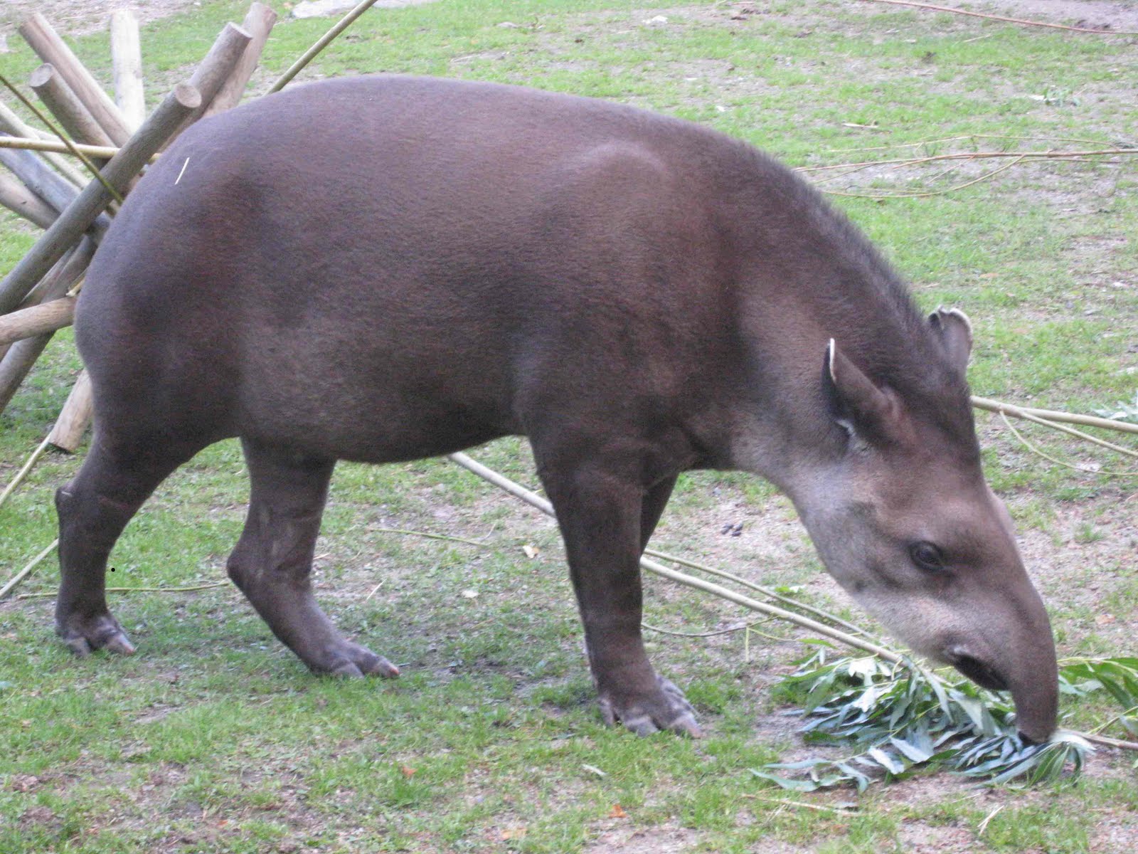 Elämysmatkailua: Itämeren ympäri 11 päivässä