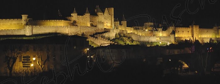 Frozen Motion: Medieval Night Life