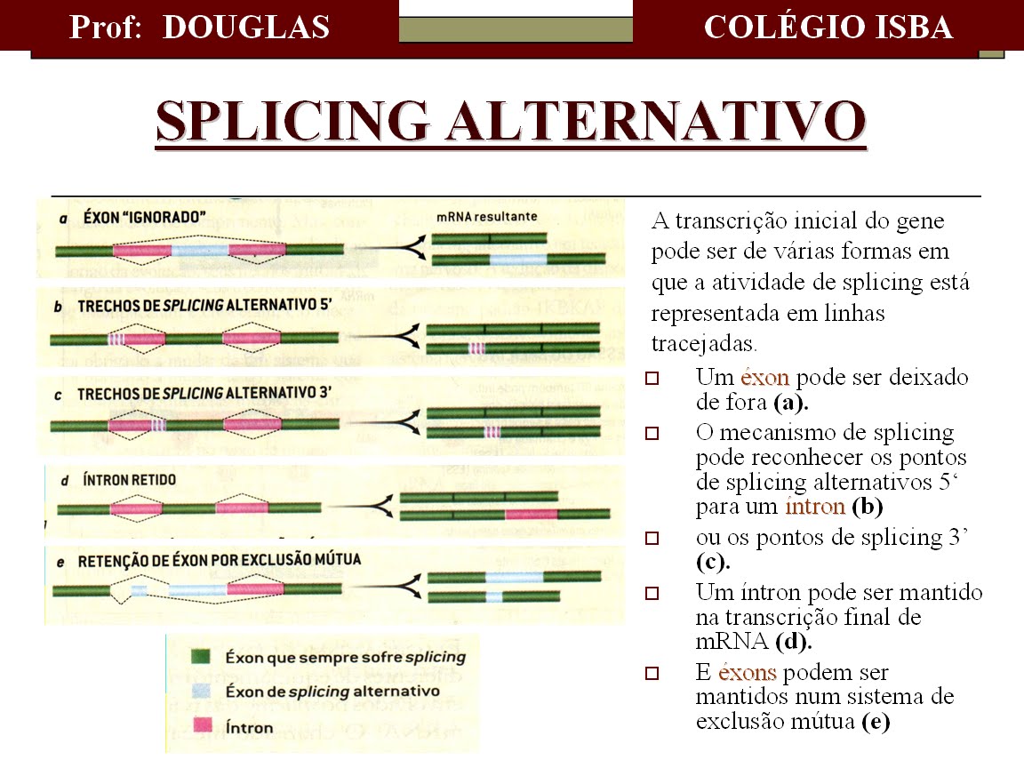 Biologia Celular Interativa: Splicing Alternativo