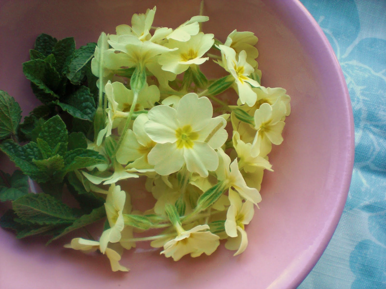 Stuff I make, bake and love: Miss Prim Pram Prum...