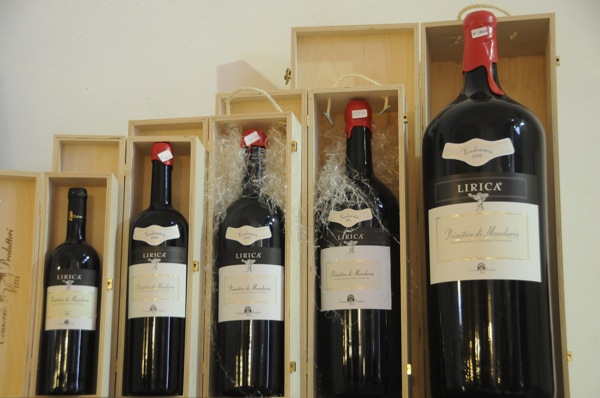 Top 10 Primitivo Wines from Puglia