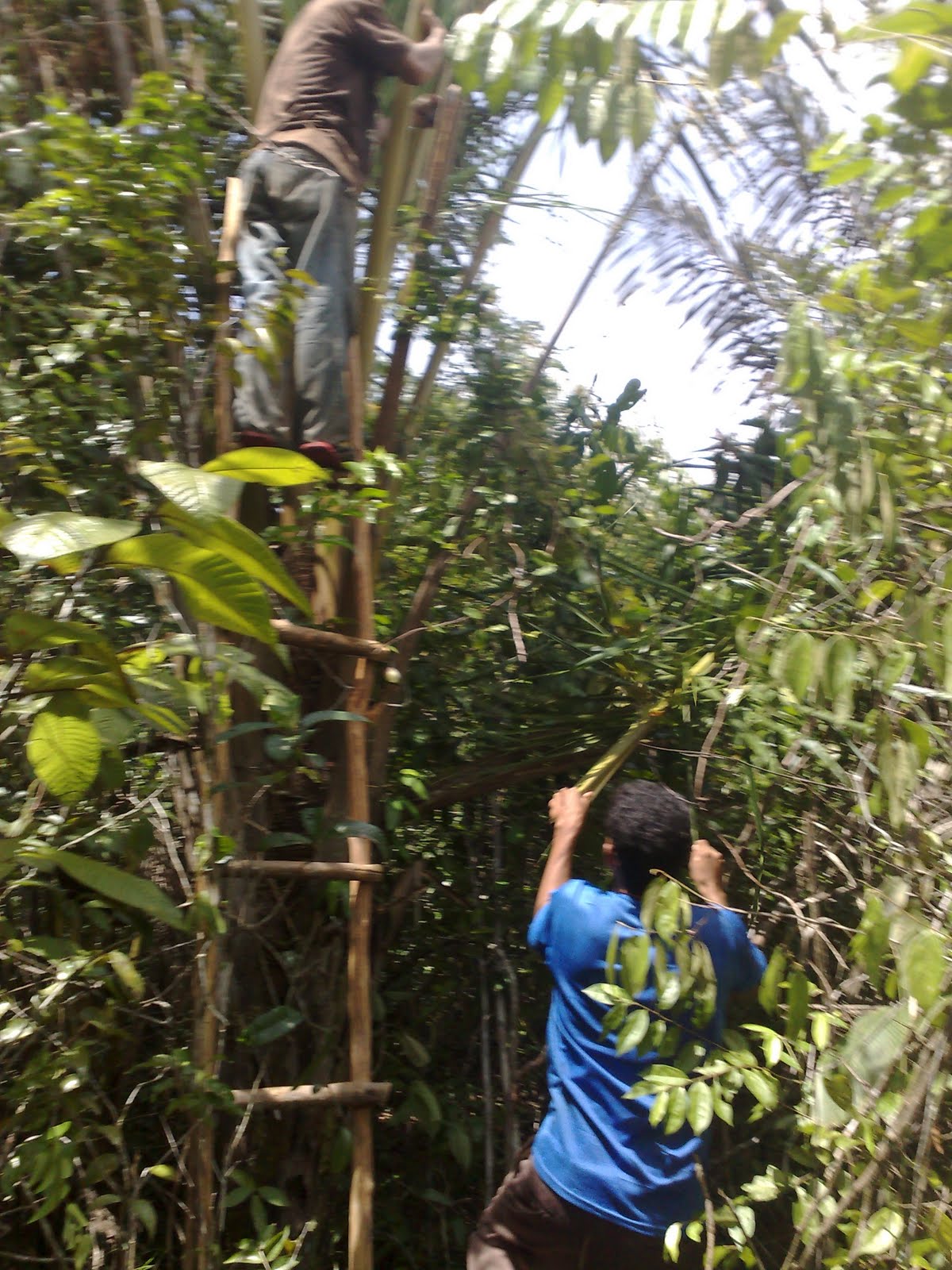 Blog do Pr. Clever de Souza: Congregação da Vila do Cipoal já é Uma ...