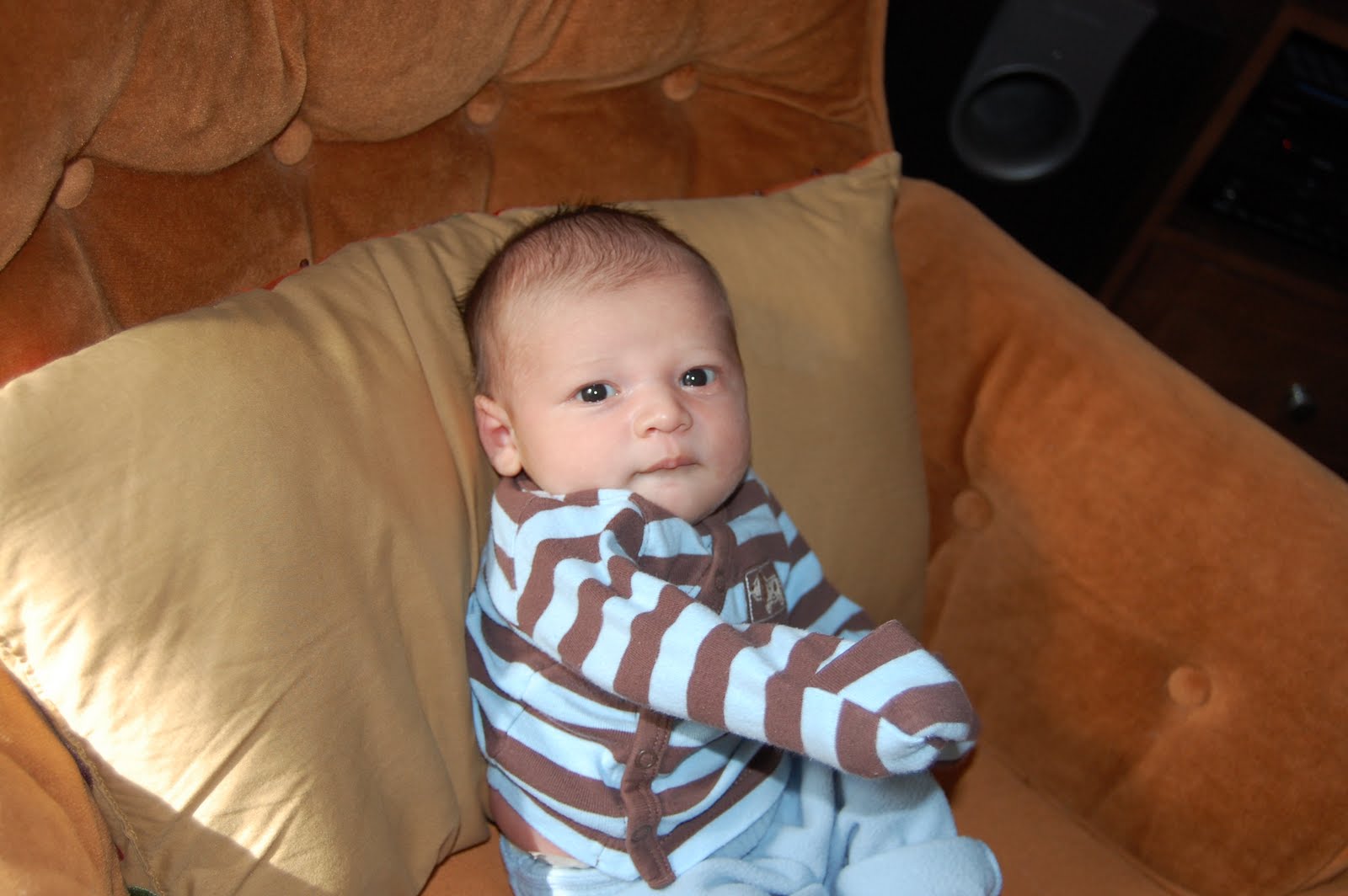 The Adventures of Baby Newman: I'm Two Weeks Old Today!