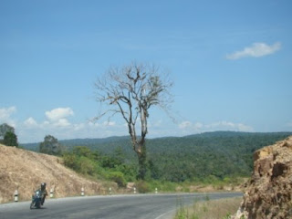 Asean: Asia's Perfect 10: A Trip to Koh Kong