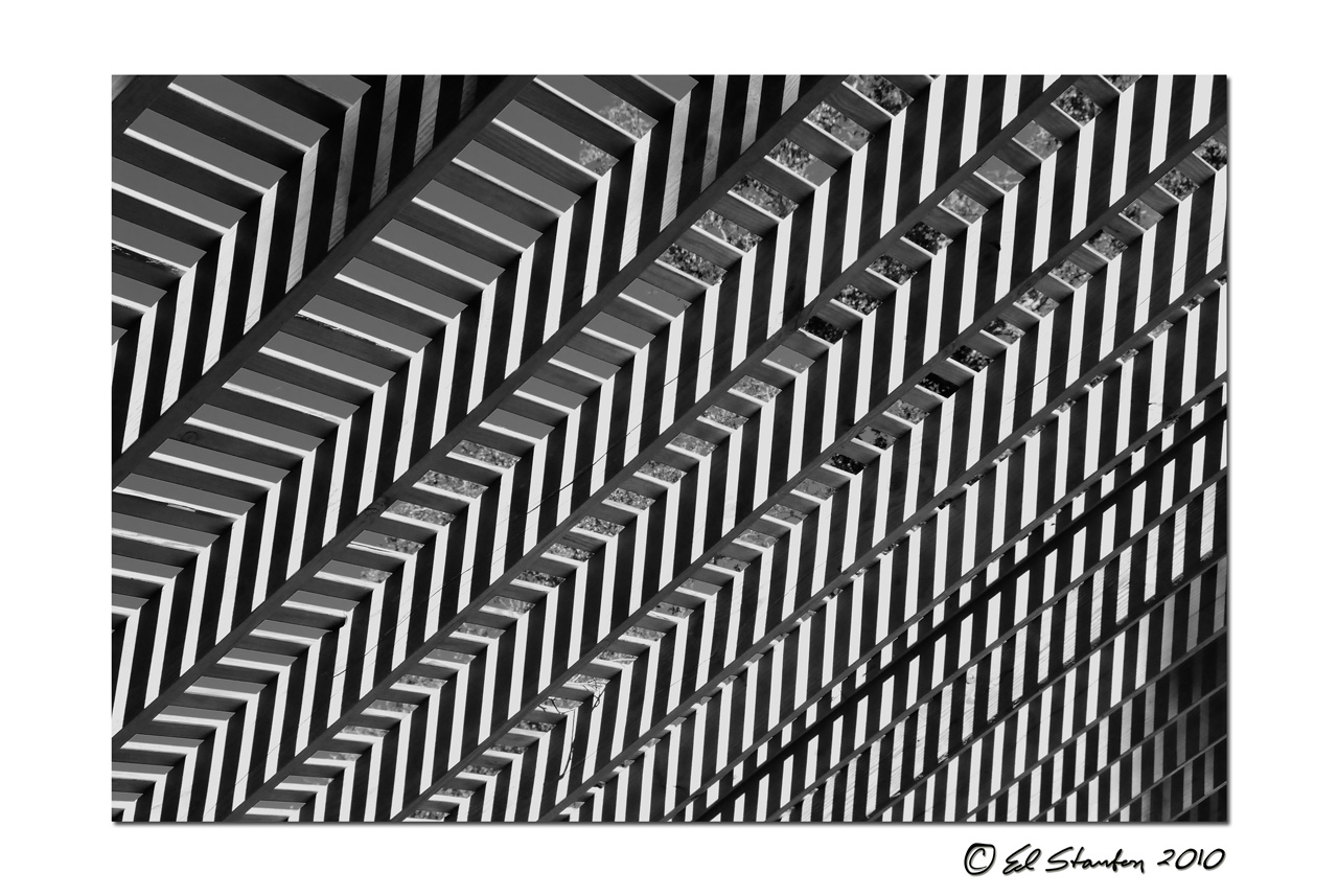 Ed Stanton Photography