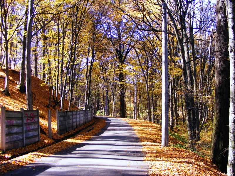 Plaiuri romanesti: Parcul Trivale din Pitesti