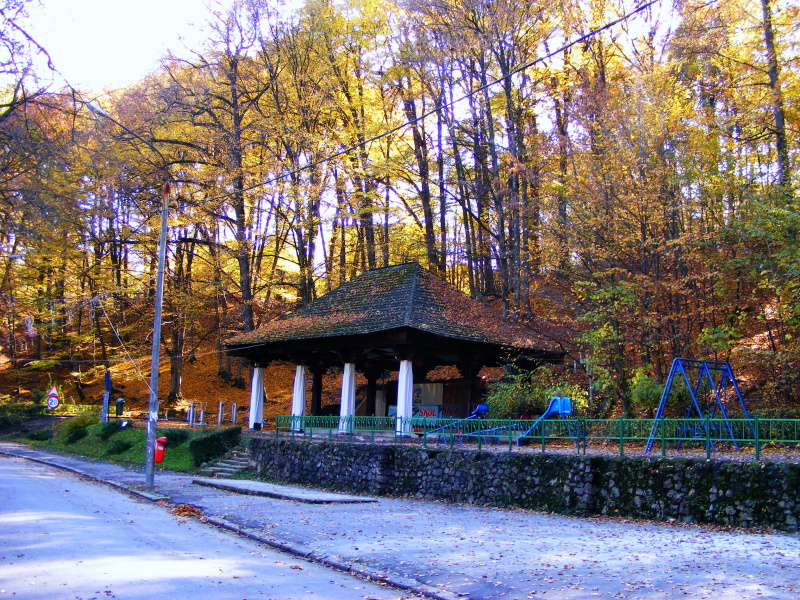 Plaiuri romanesti: Parcul Trivale din Pitesti