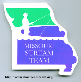 Eastern Missouri Stream Team WQMs: How to mount specimens for ...