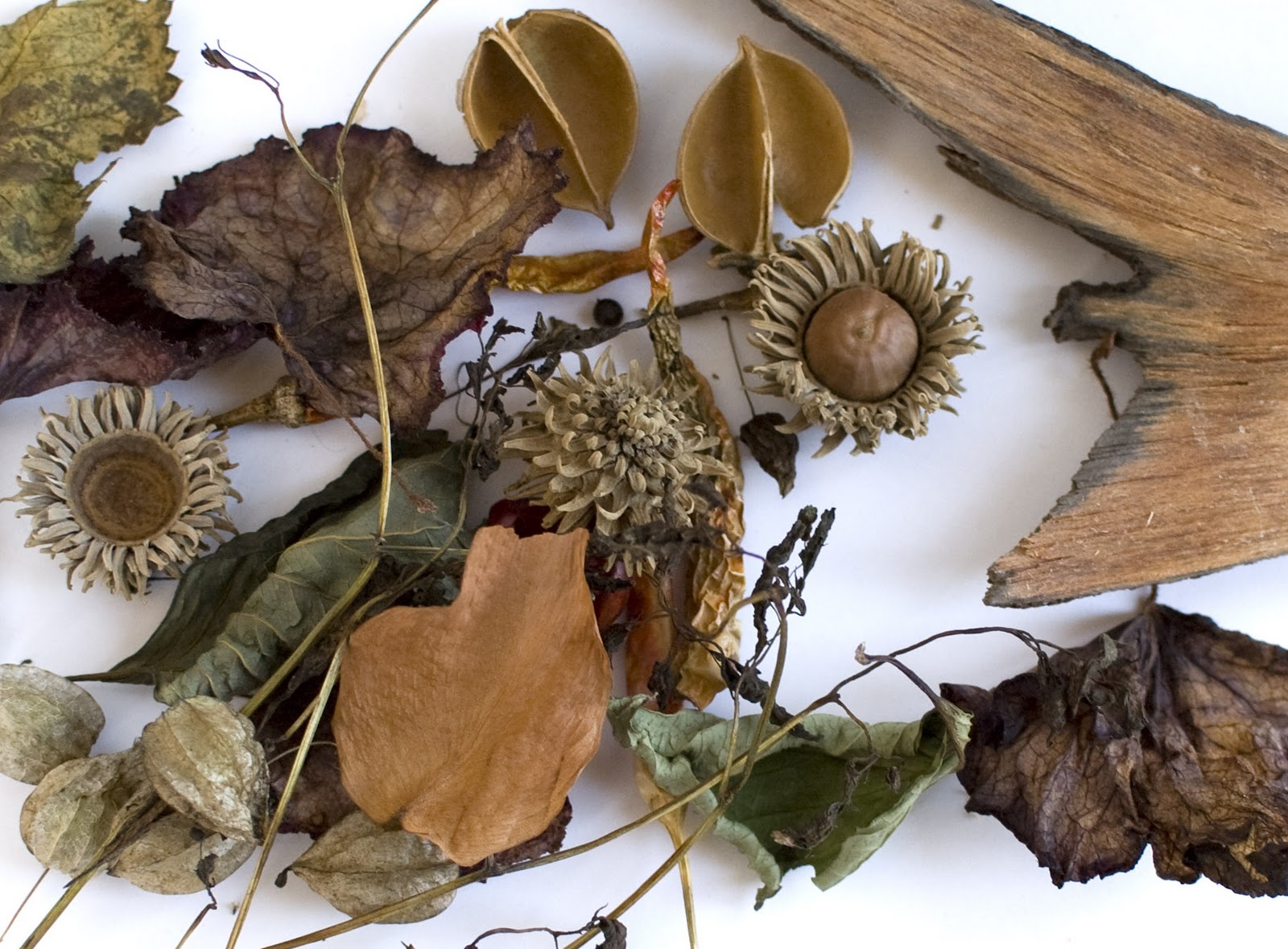 MacCraft n 2d3d: New textures for today