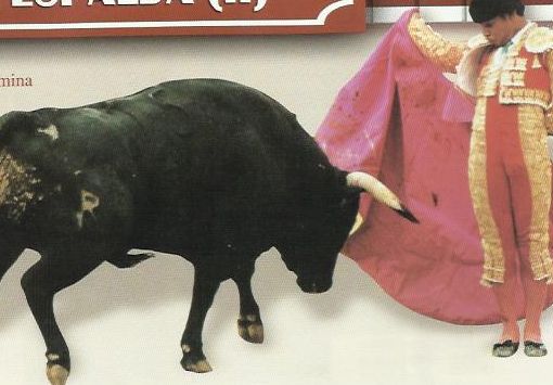 Blanco y Oro: * Lances de Capote-VII.