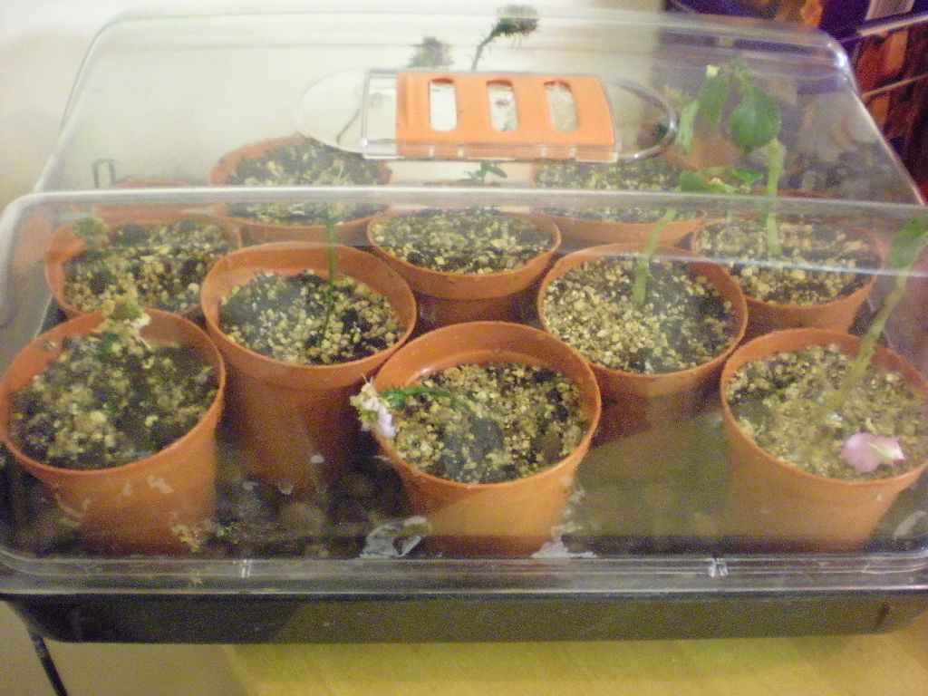 gardening-on-the-move-how-much-is-100-litres