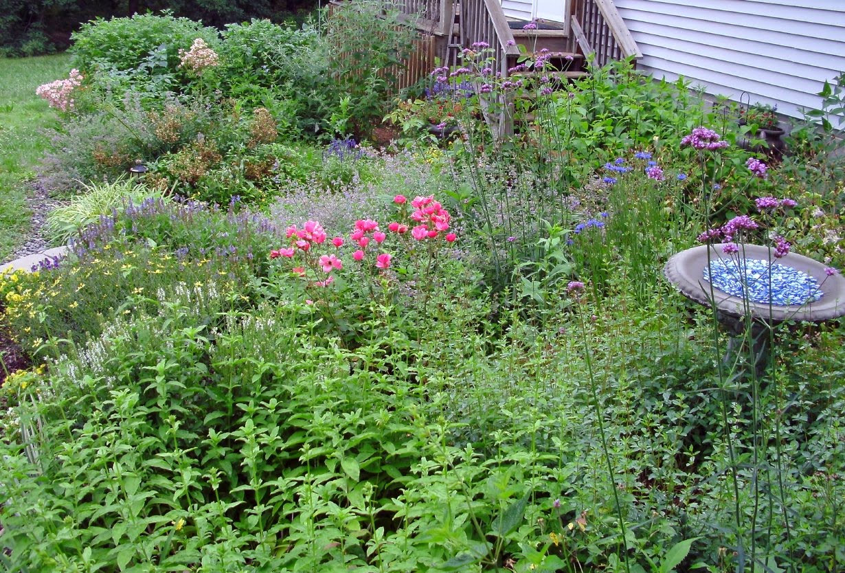 Muscari Musings: Betty Prior...