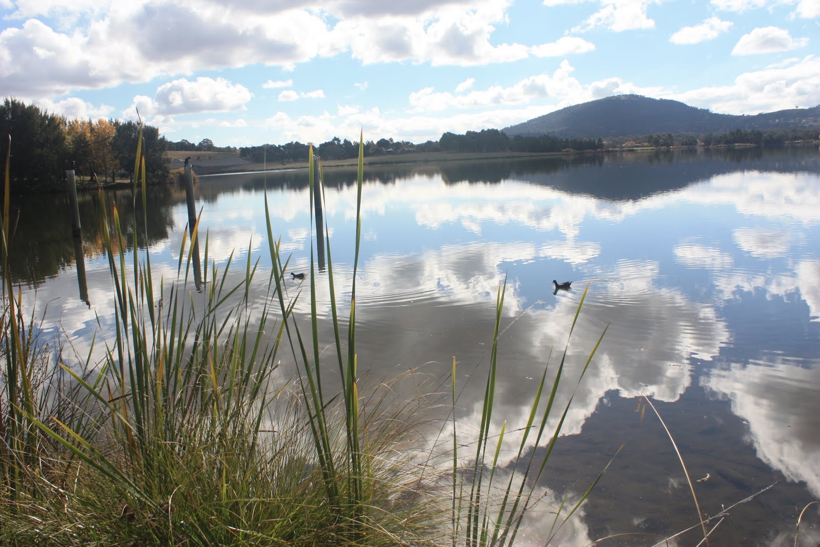 Lake Tuggeranong Canberra Australia
