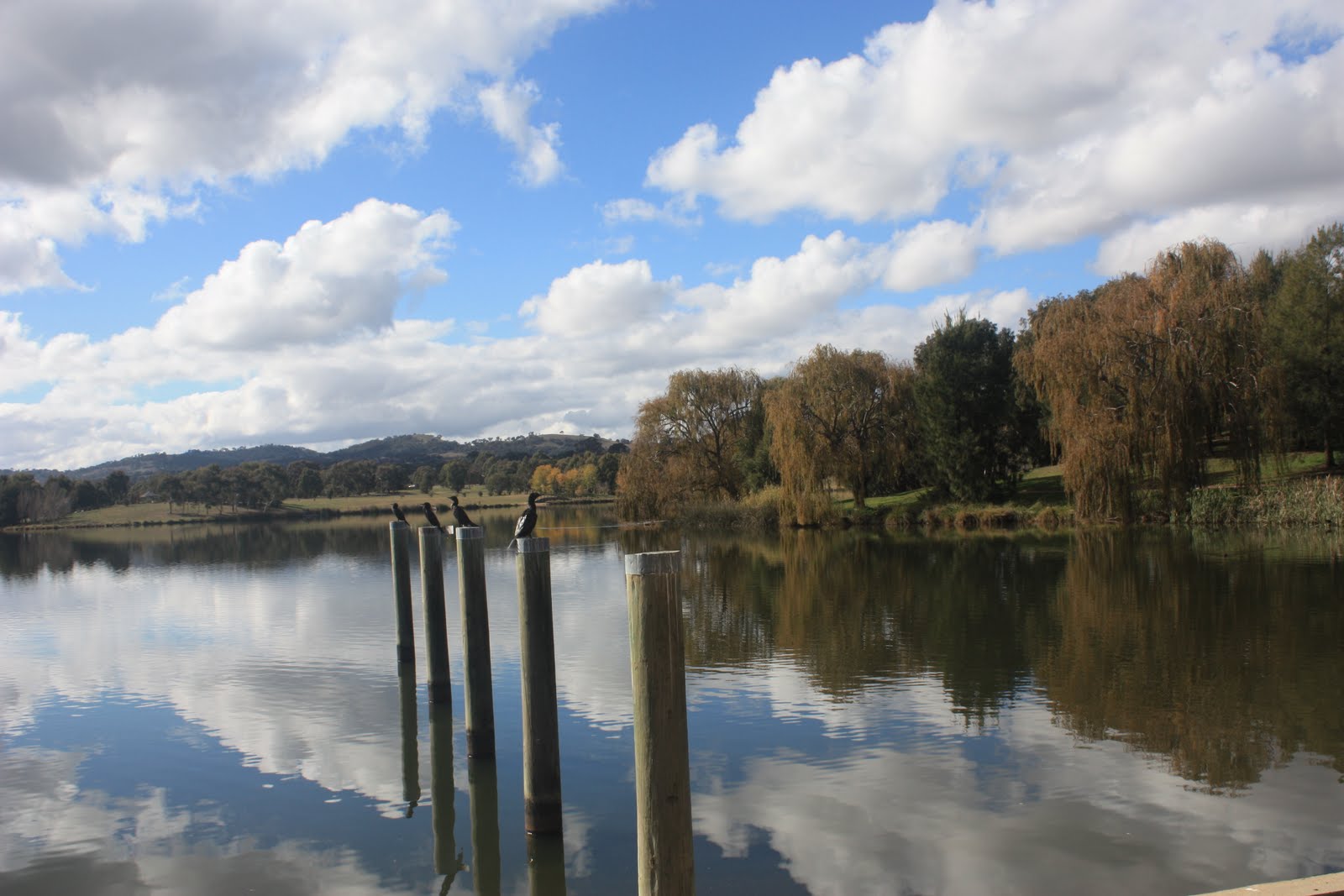 Lake Tuggeranong Canberra Australia