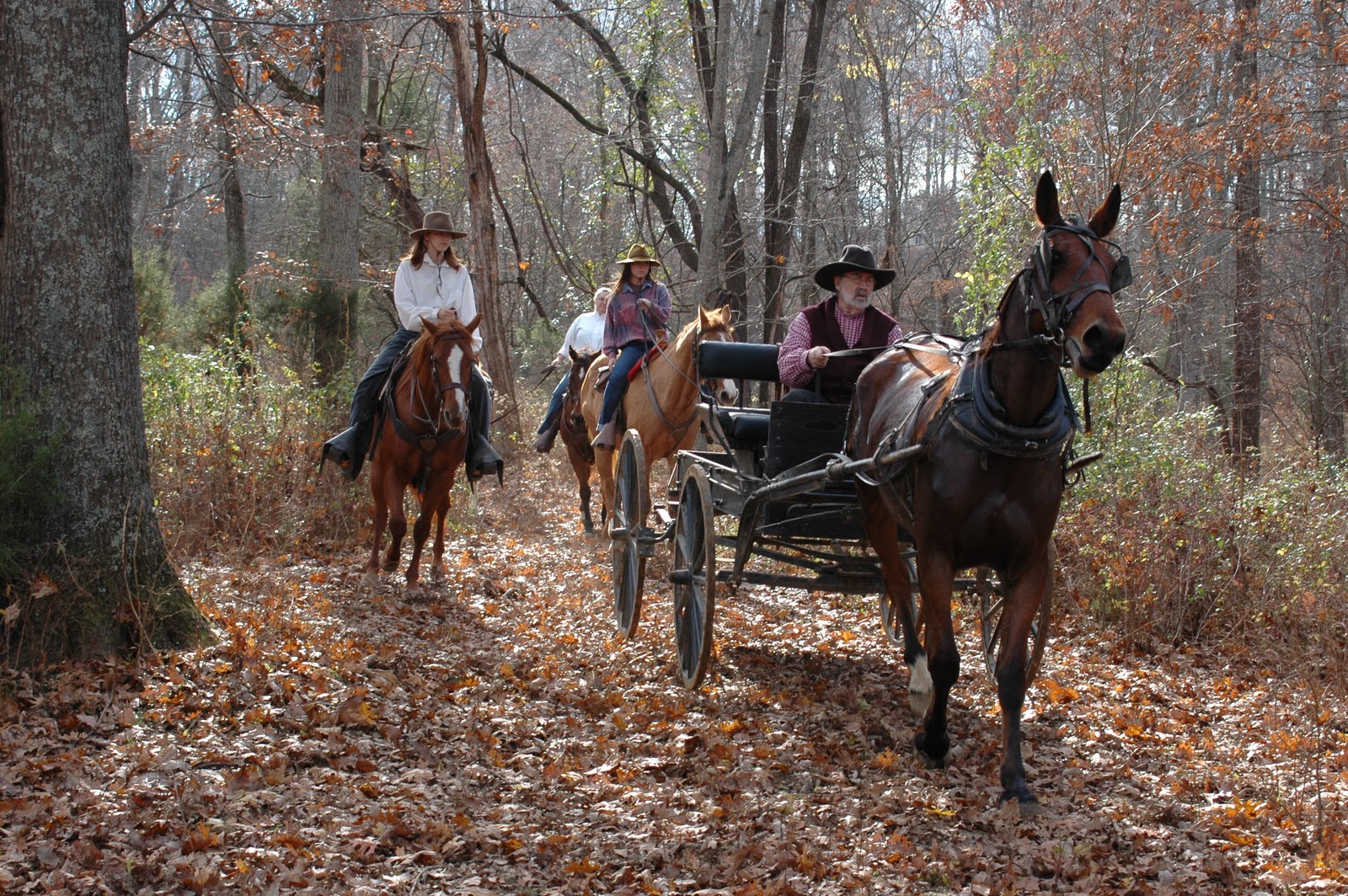 Fiddler's Green Horse Farm: Cowboy Day at the Farm