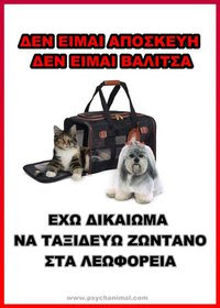 KATOIKIDIOLOVER: ΔΙΑΜΑΡΤΥΡΙΑ ΣΤΑ ΚΤΕΛ ΑΘΗΝΩΝ (ΚΗΦΙΣΟΥ-ΛΙΟΣΙΩΝ)