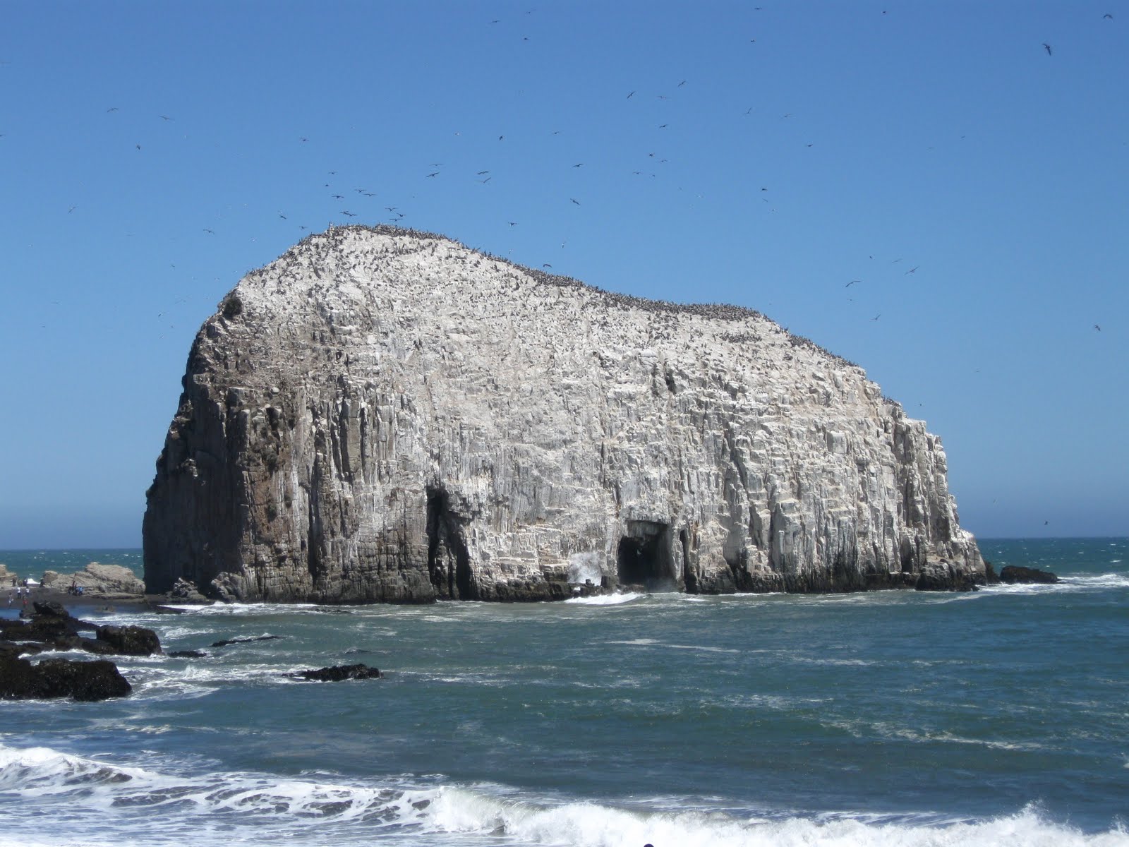 Constitución City: Ciudad de Constitucion, Región del Maule, Chile.