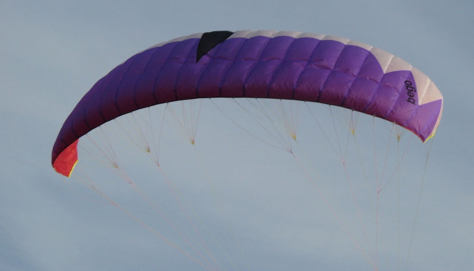 the kite guy: 4-line kites