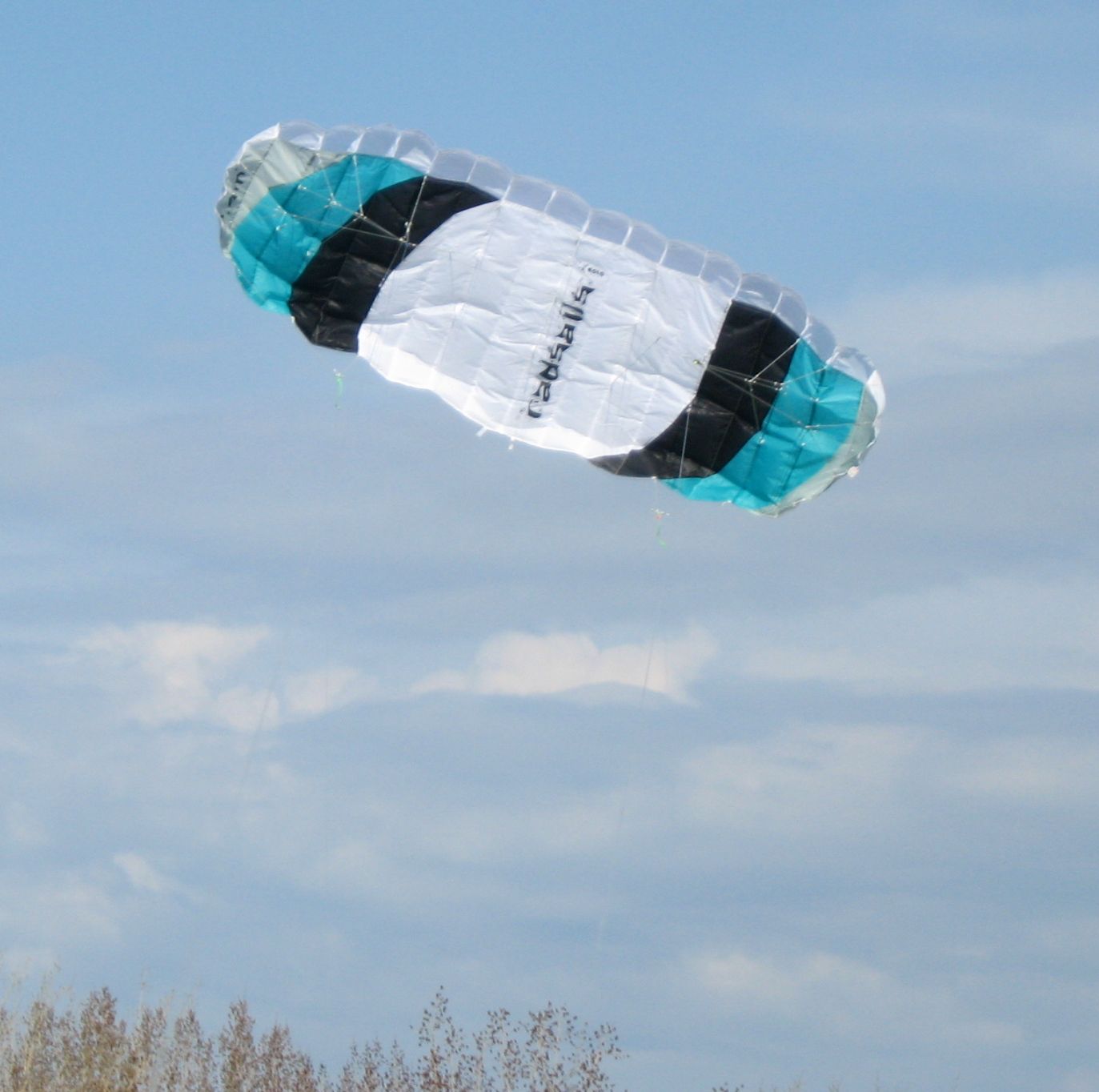 the kite guy: 4-line kites