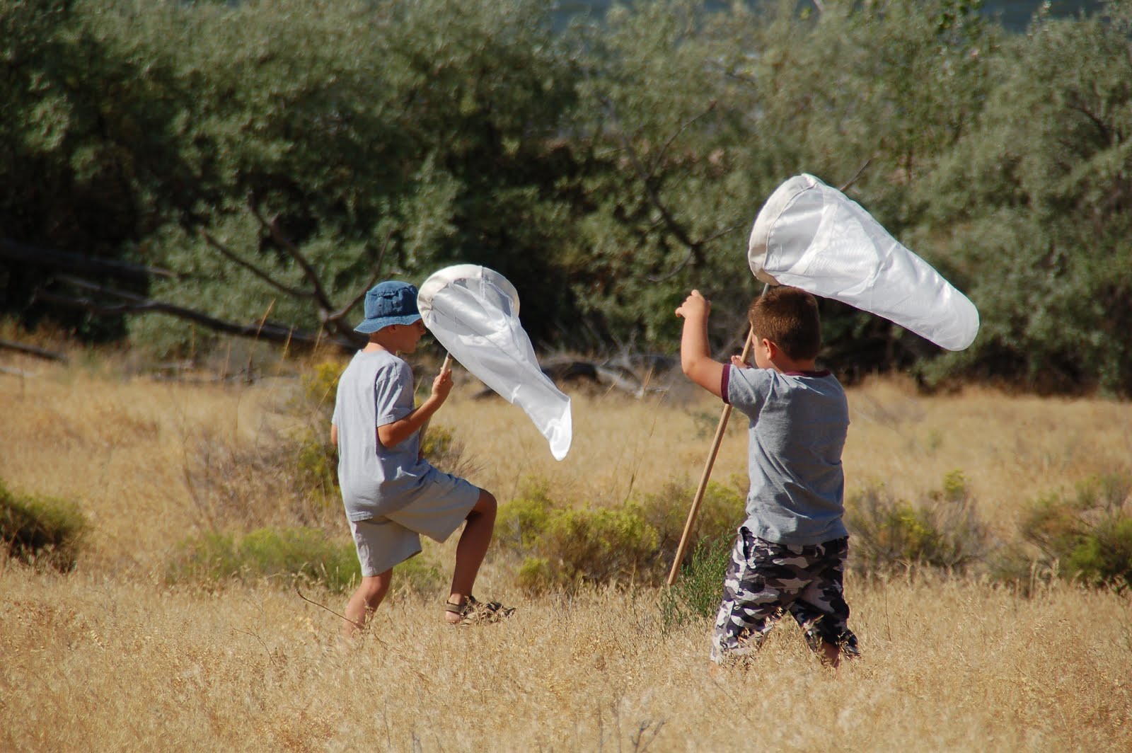 Friends of Deer Flat Wildlife Refuge Osprey-cam: Celebrate Biodiversity ...
