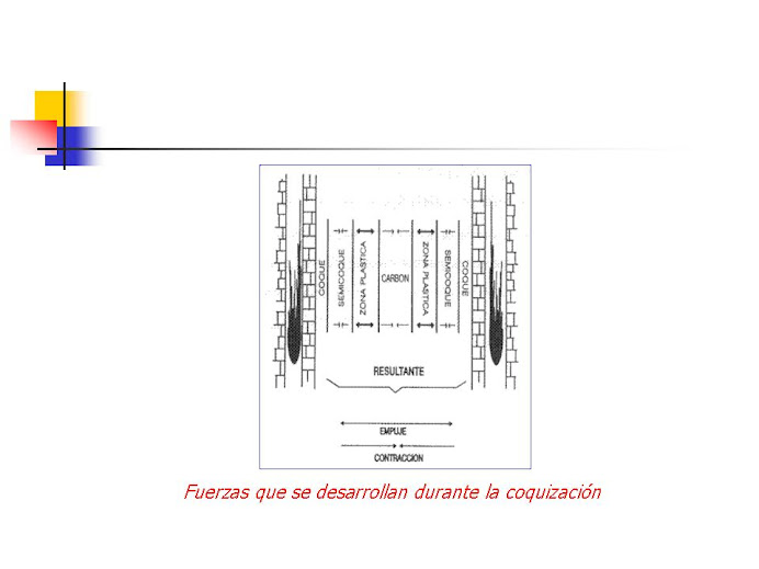CARBOQUIMICA COQUIZACIÓN: Petrografía del Carbón