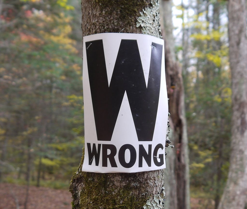 In the Field: Salmon River Trail, Colchester