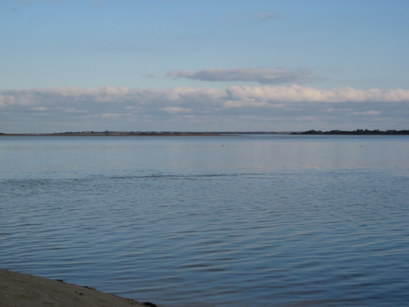 SUSAN SIMON SAYS: Nantucket in the wintertime