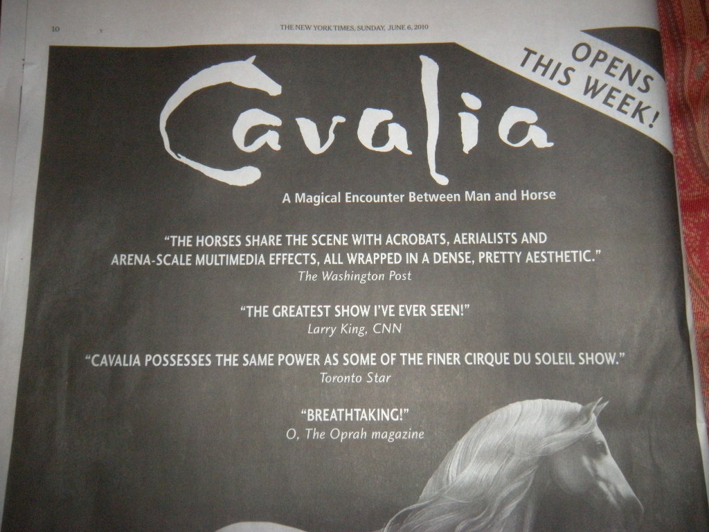 jessesdesertrose: Cavalia!