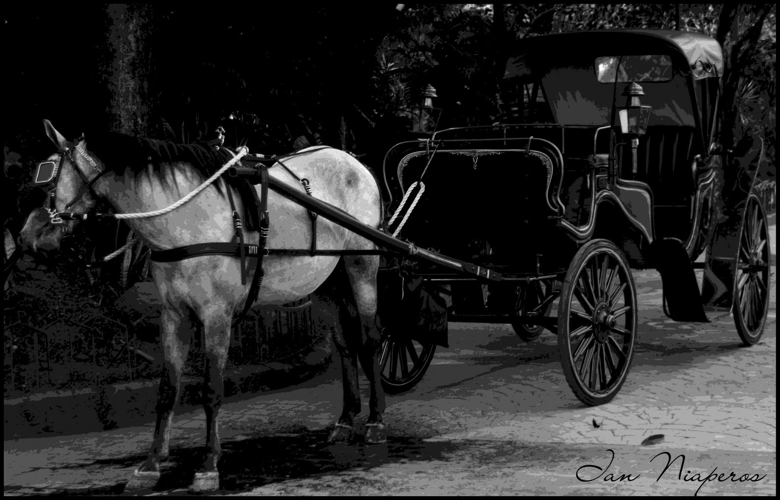 PhotoShoot Portal: karitela (carraige)