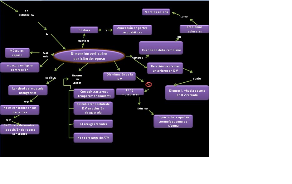 anaya-iveth.: dimencion vertical y zona neutra